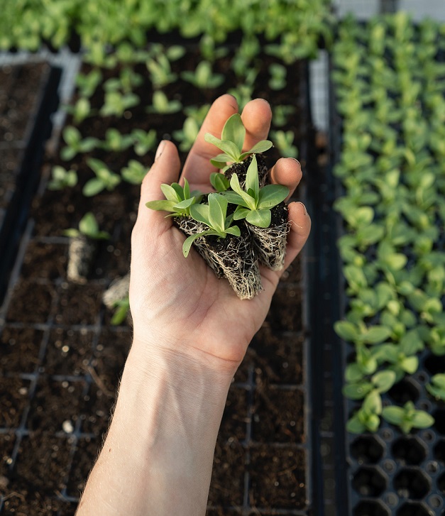 IH World Foundation Supports Environmental Projects